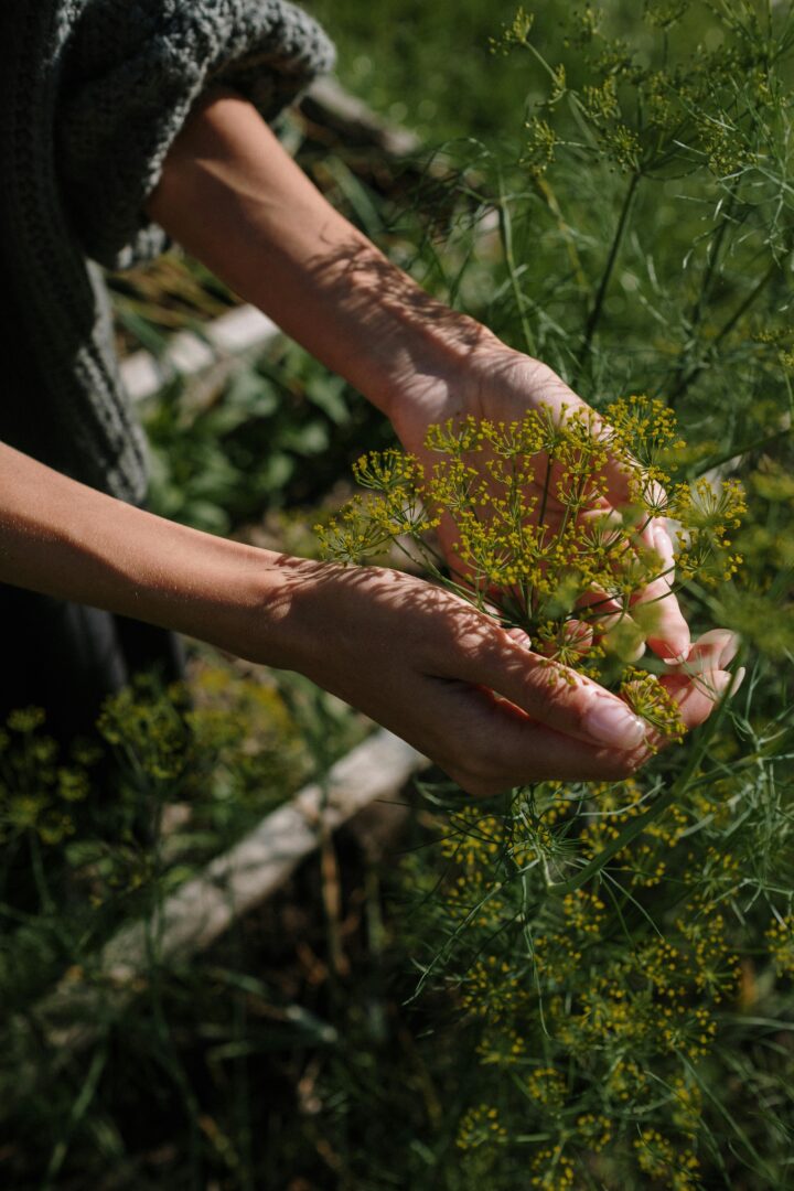 The Complete Companion Planting Chart for Every Vegetable - Keeping It ...