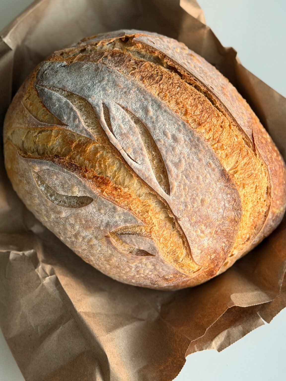 The Ultimate Beginner Sourdough Guide: From Starter to First Loaf ...
